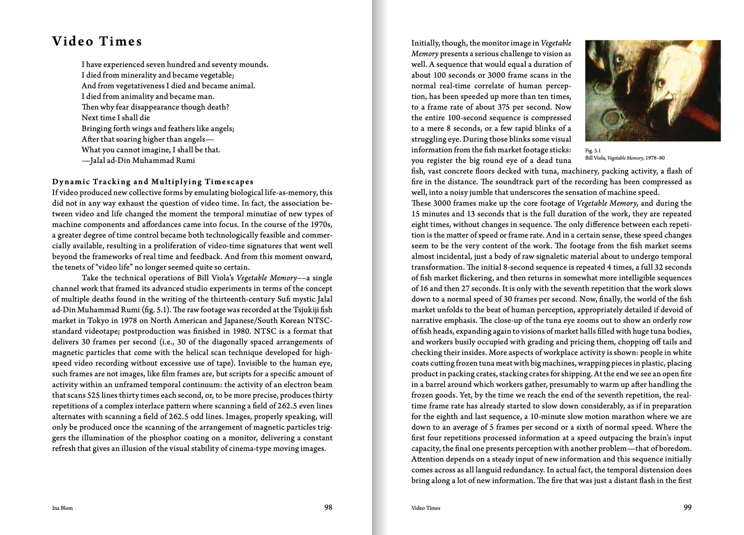 The Autobiography of Video – Sternberg Press