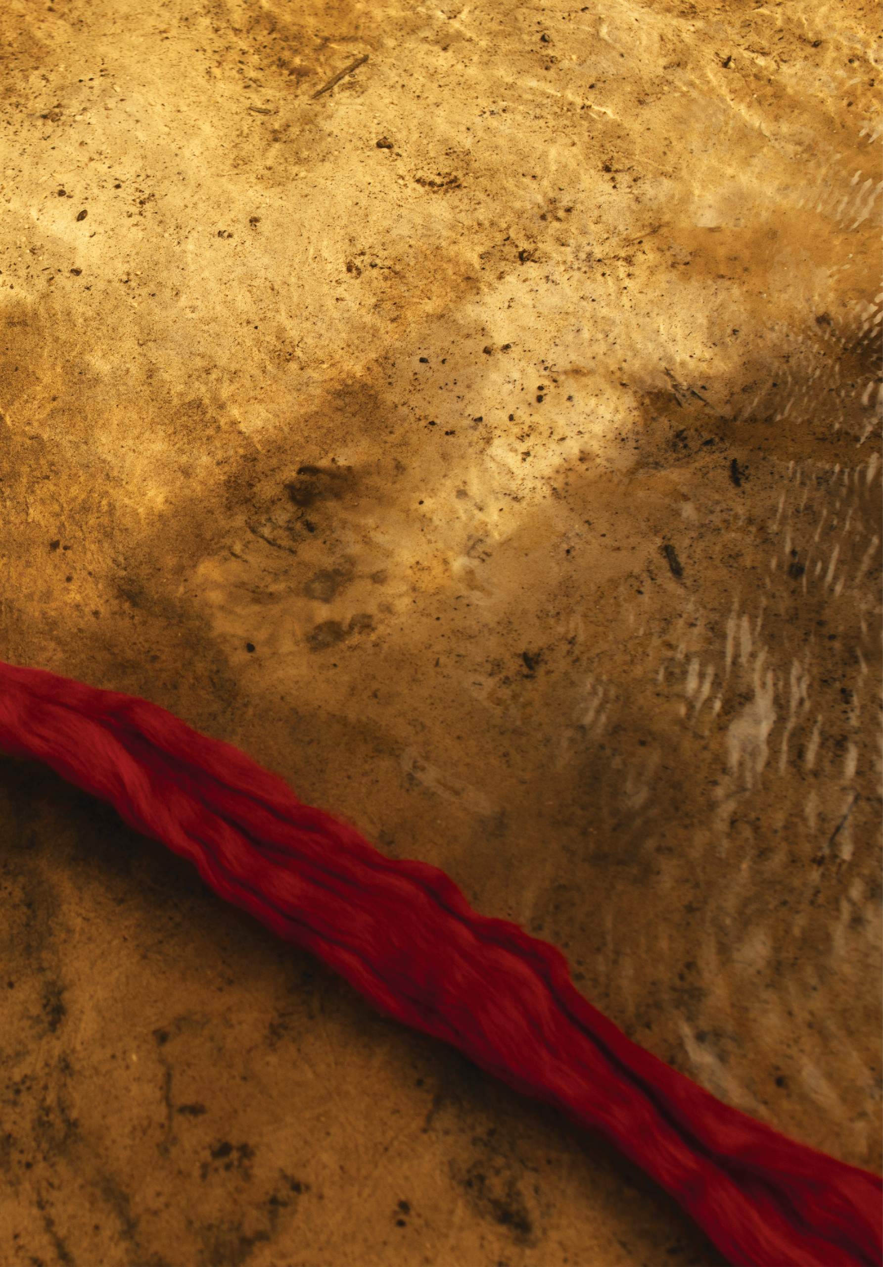 Read Thread – Sternberg Press